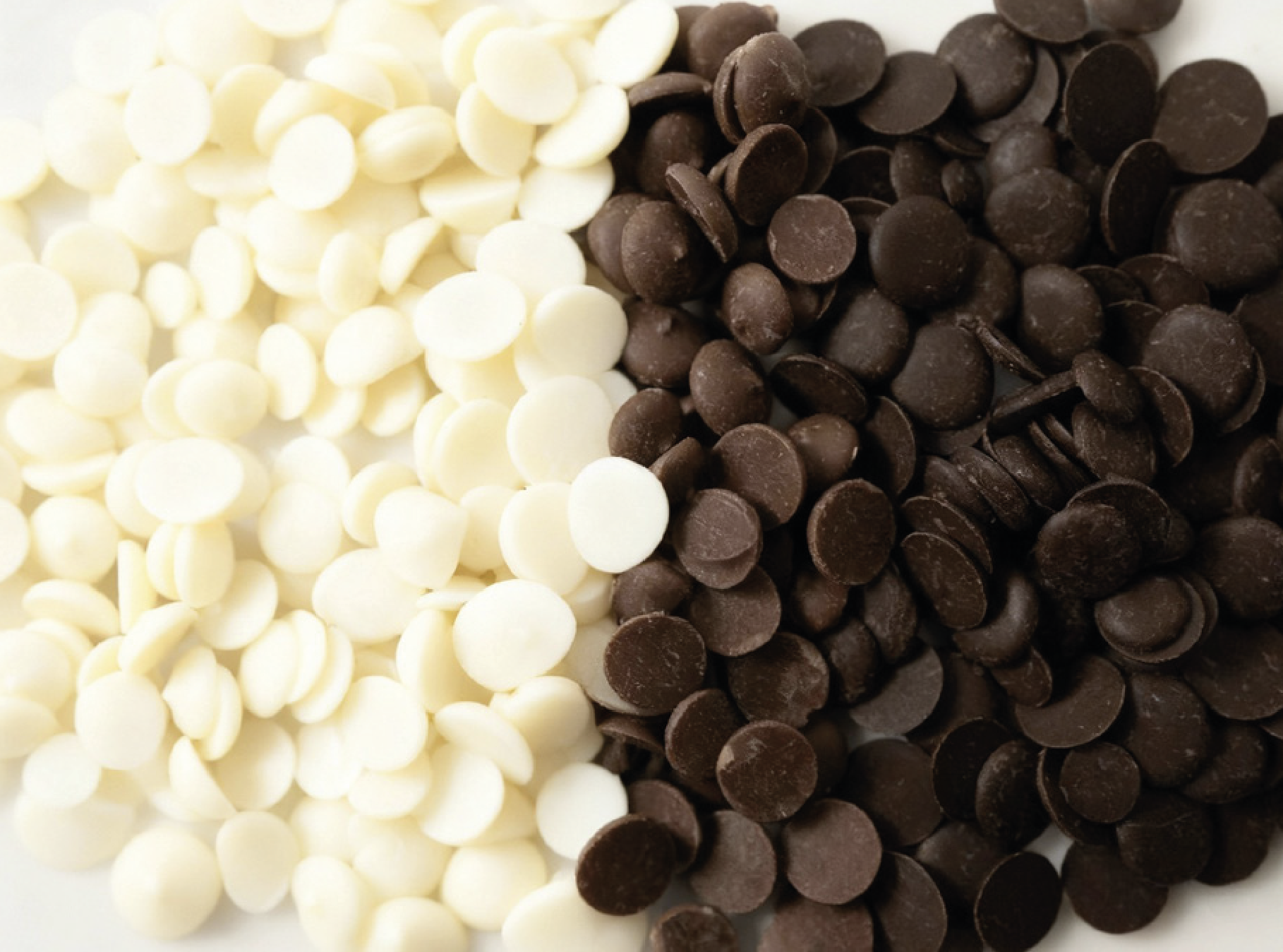 Sugar-free and palm-free protein coating | Dulcistar